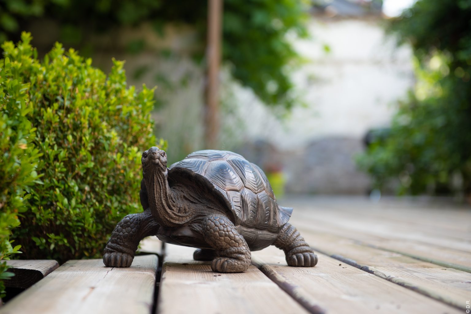 Décoration d’extérieur : une sculpture d’animal XXL pour sublimer votre ...